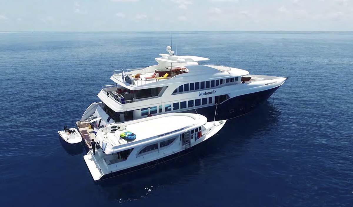 Blue Force One Is Among The Best Maldives Diving Liveaboards