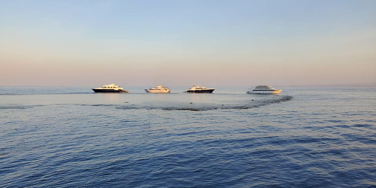 Diving At The Straits Of Gubal Island In Egypt's Red Sea