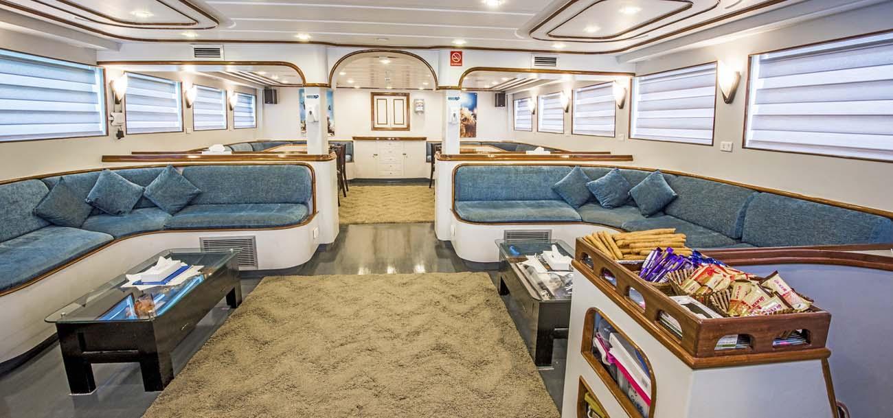 Blue Adventurer - the best-value Red Sea Liveaboard Diving