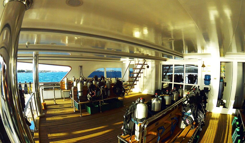 Sea Legend is a luxurious & great-value Red Sea liveaboard.