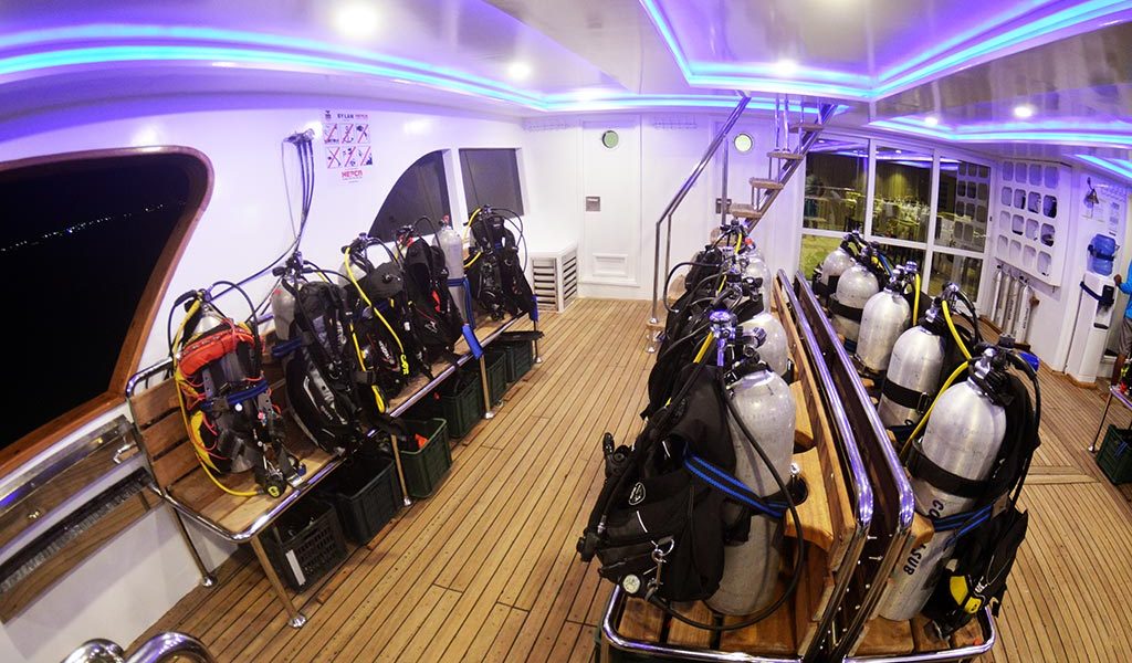 Sea Legend is a luxurious & great-value Red Sea liveaboard.