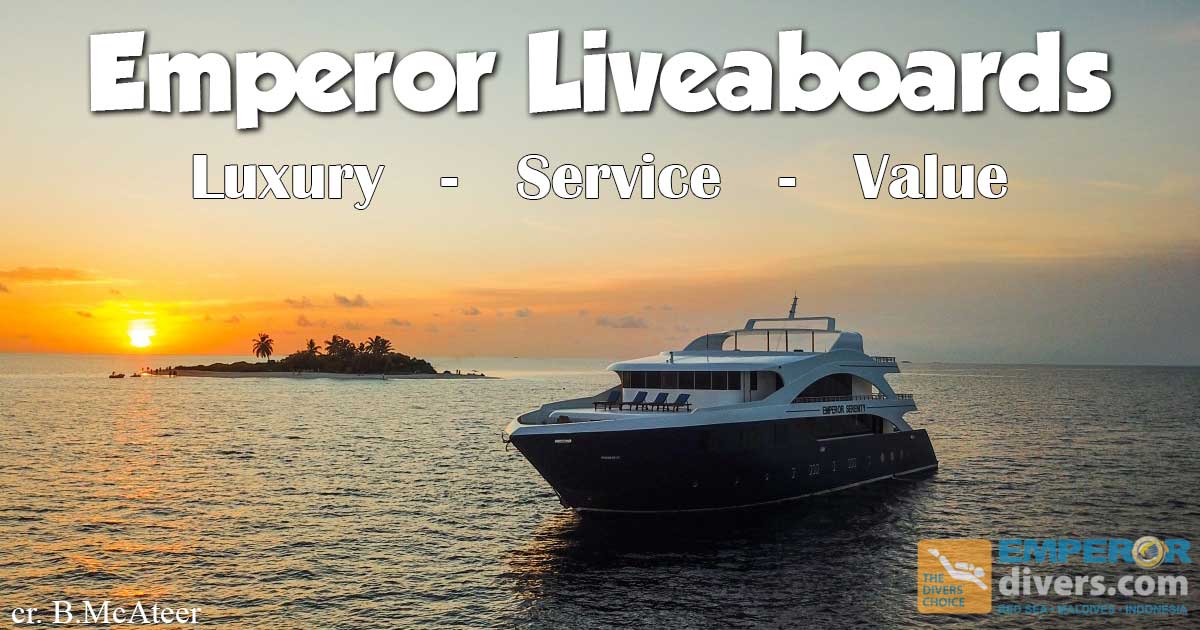 No Troubles Just Bubbles - Scuba Diving Liveaboard Blog