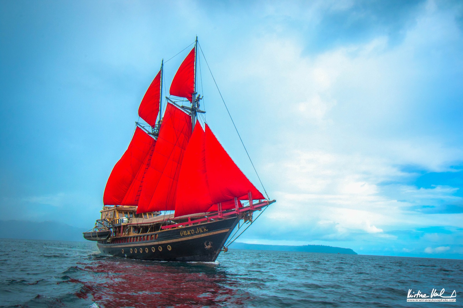 Calico Jack